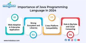 What is the Importance of Java Programming Language in 2024? - Mobulous ...